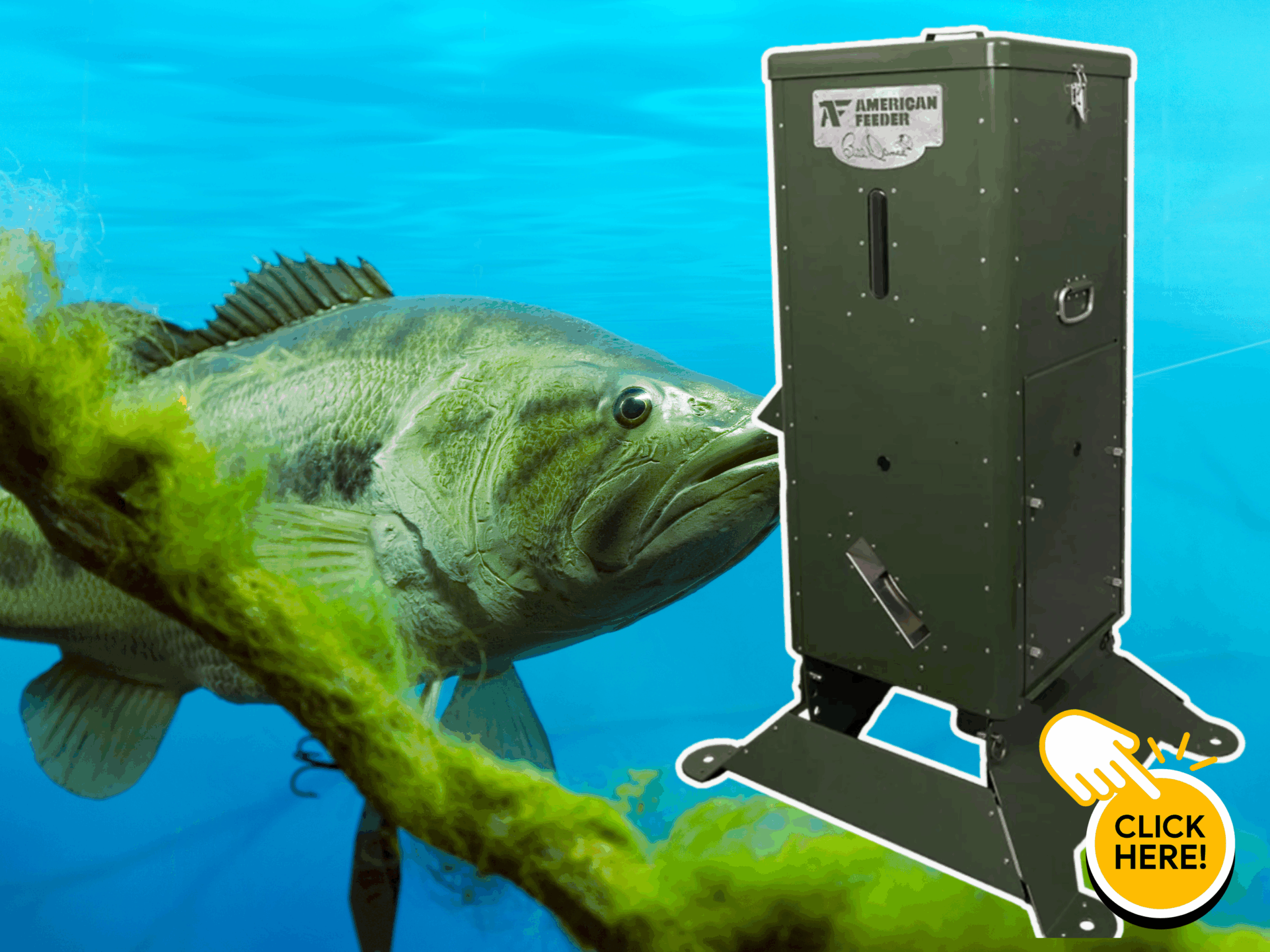 Pond Aerator Benefits for Healthy Fish Life - Joe Mescan Windmill LLC